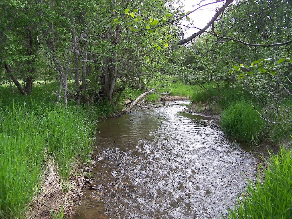 1815 Addy Gifford Rd, Addy, WA 99101 - Washington Views Real Estate